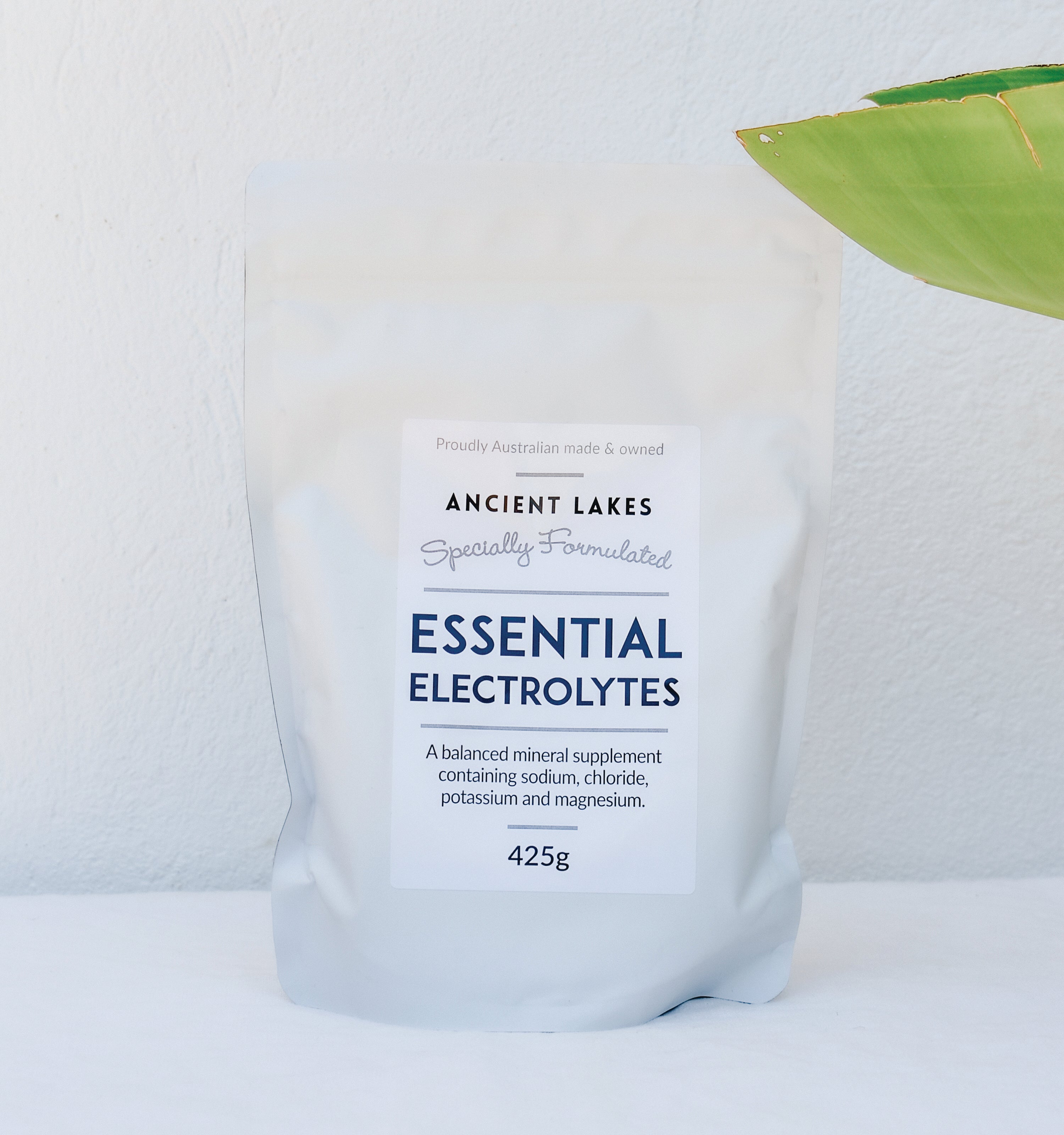 Ancient Lakes Essential Electrolytes - 425g – Alchemical